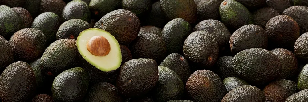 The Perfect Avocado? – El Gigante Picante del Monte
